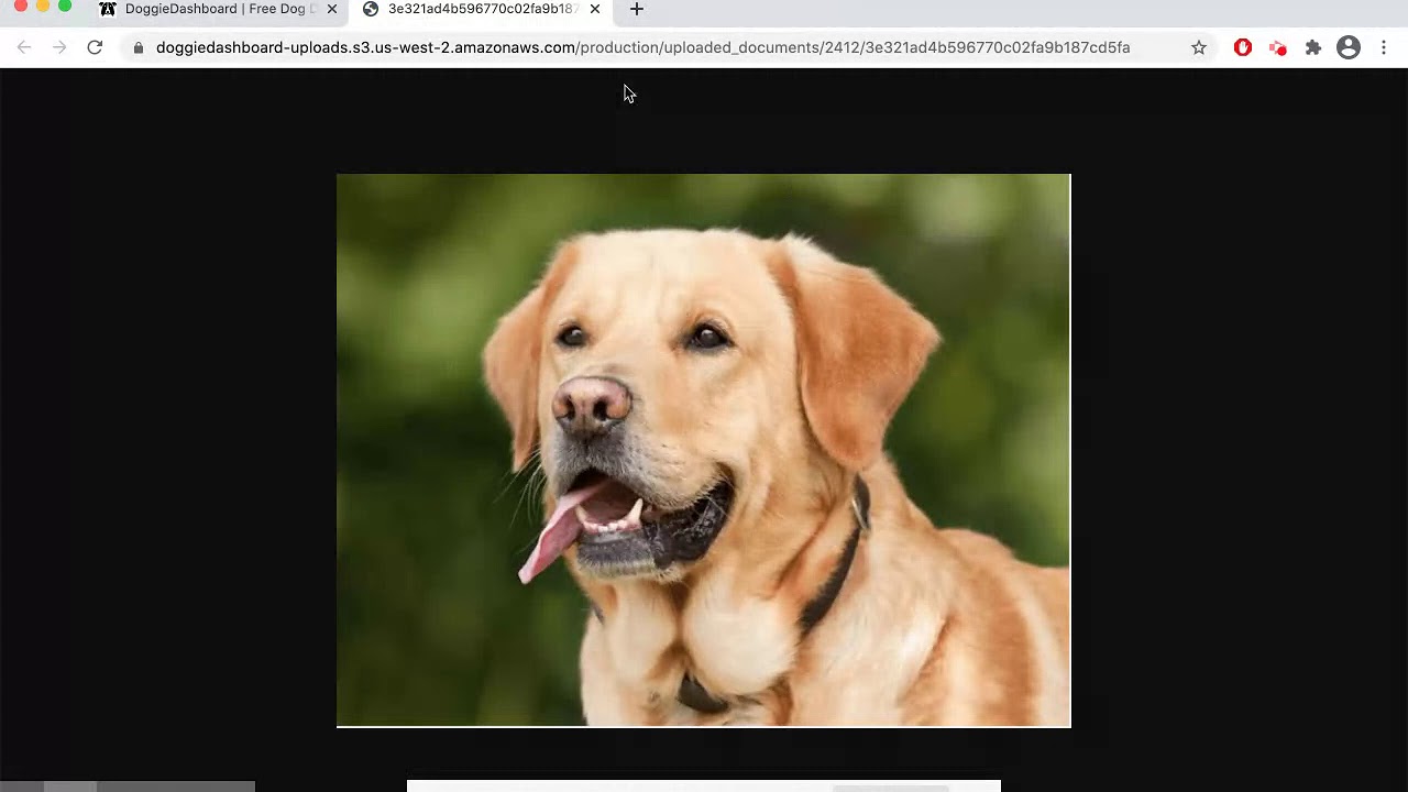 Uploading and Storing Documents with DoggieDashboard - YouTube