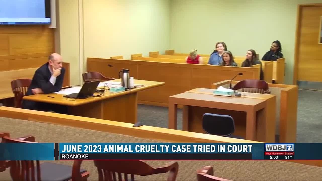 June 2023 Animal Cruelty Case Tried in Court - YouTube