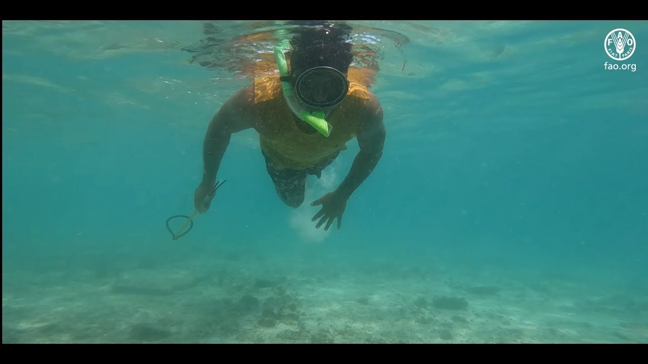 Raising the voice and empowering Pacific small-scale fishers and fish ...