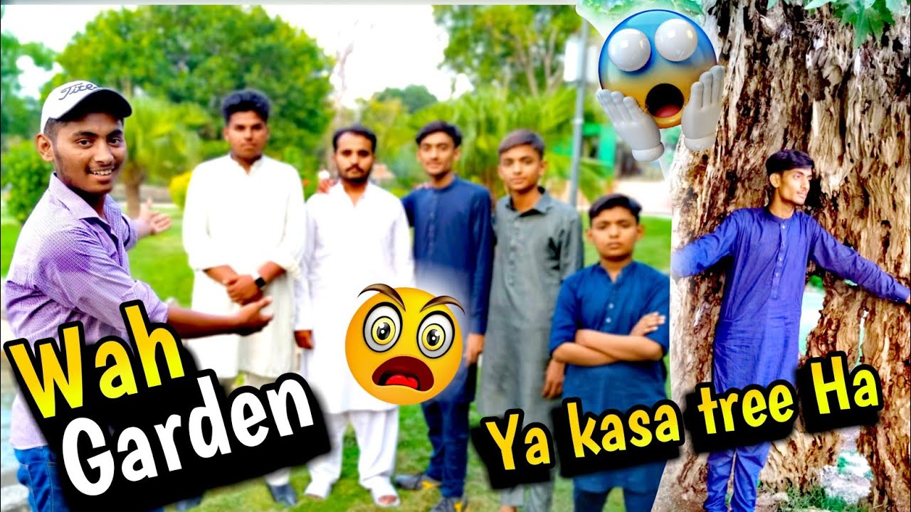 😮ya kasa😥tree🔥ha ll log😉gay wah garden - YouTube