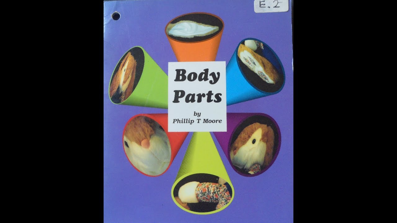 BODY PARTS (Soft toy ) - YouTube