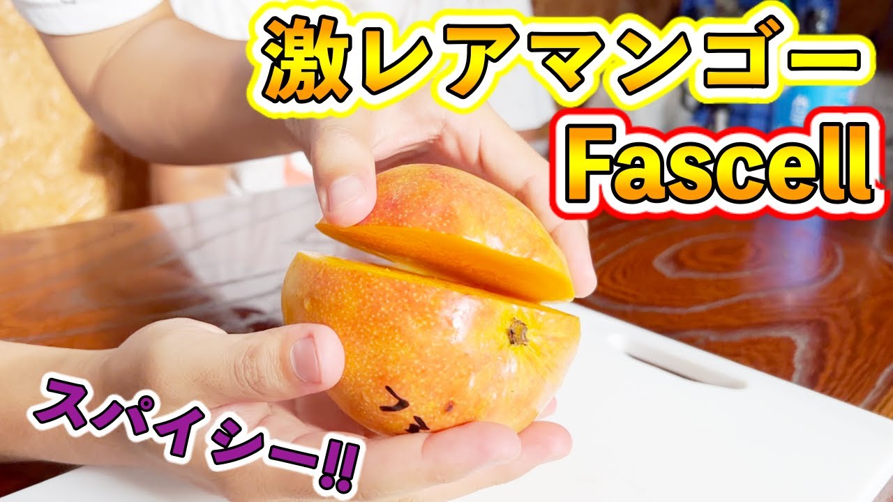 激レアマンゴー「ファッセル（Fascell）」の食レポ！【ゆす村農園 東さんご提供】 - YouTube
