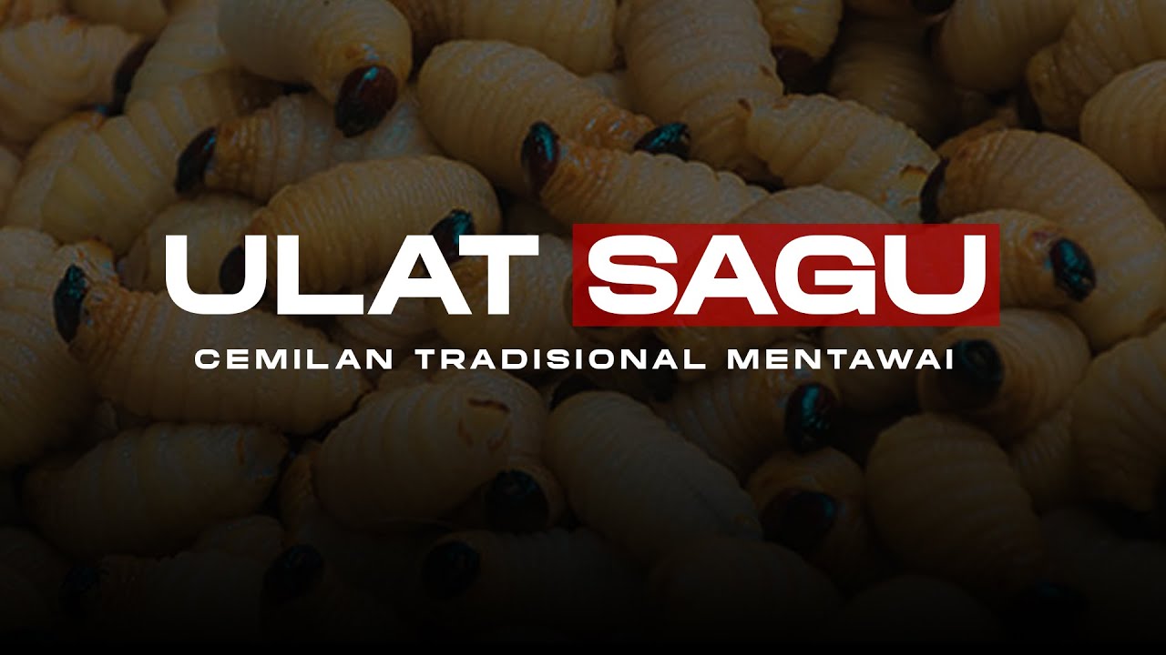 MAKAN ULAT SAGU! - YouTube