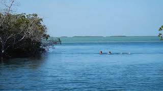 Mud Keys - World Islands