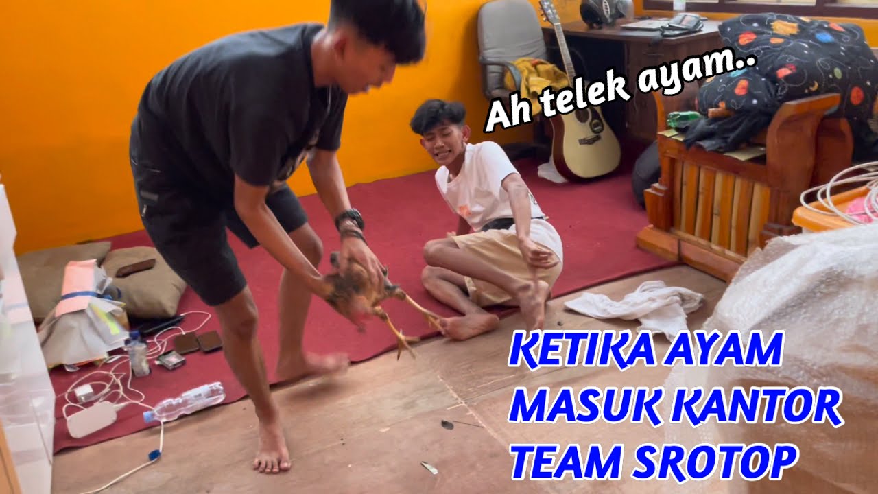 KETIKA AYAM MASUK KANTOR TEAM SROTOP - YouTube