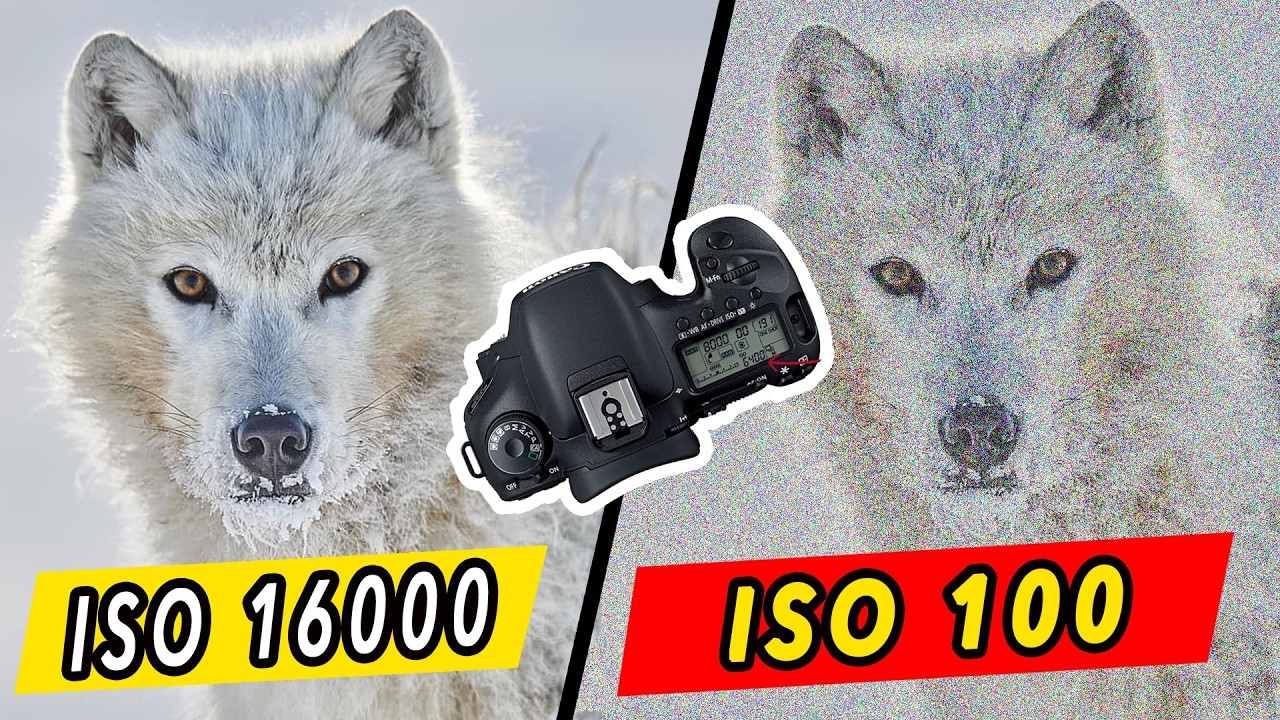 High ISO Ruining Your Photos? Fix It FAST Before It's Too Late! - YouTube