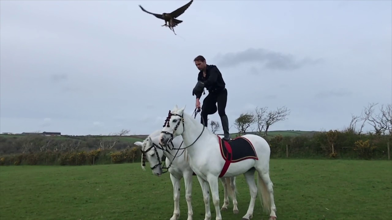 Jonathan Marshall shows us why he is the world's best show falconer. - YouTube
