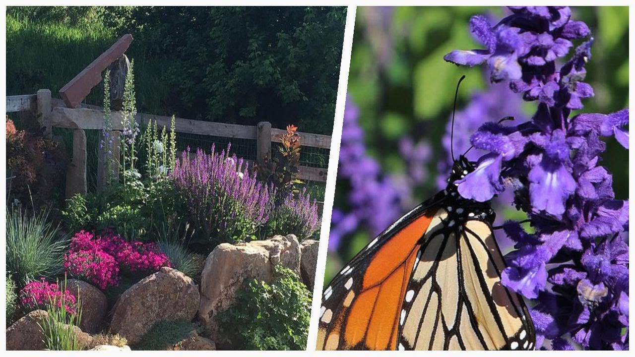 75 Eclectic Purple Landscaping Design Ideas You'll Love ⭐️ - YouTube