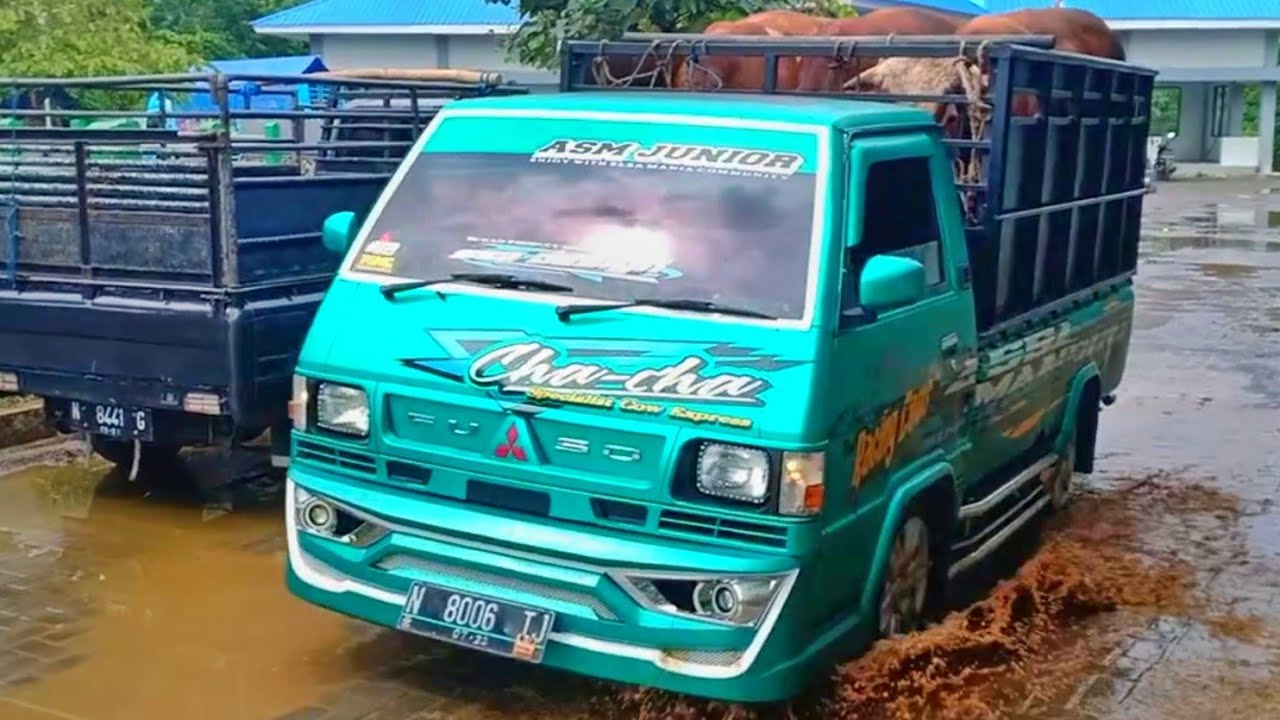 L300 ASM JUNIOR SPESIAL SAPI BALAP - YouTube