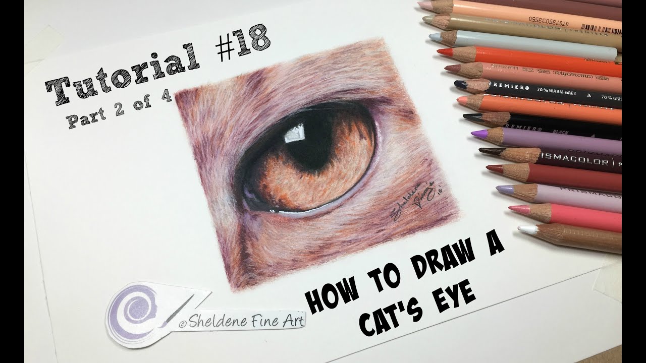 TUTORIAL #18 Part 2 - How to draw a cats eye - Channel Sheldene Fine ...