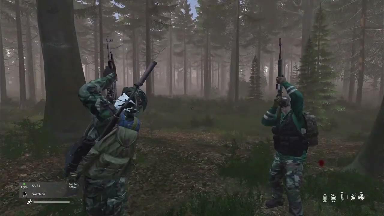 Dayz shenanigans - YouTube
