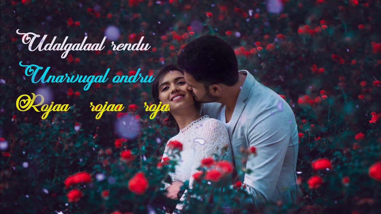 Kadhalar Dhinam - Roja Roja Song - A.R. Rahman - P. Unnikrishnan ...