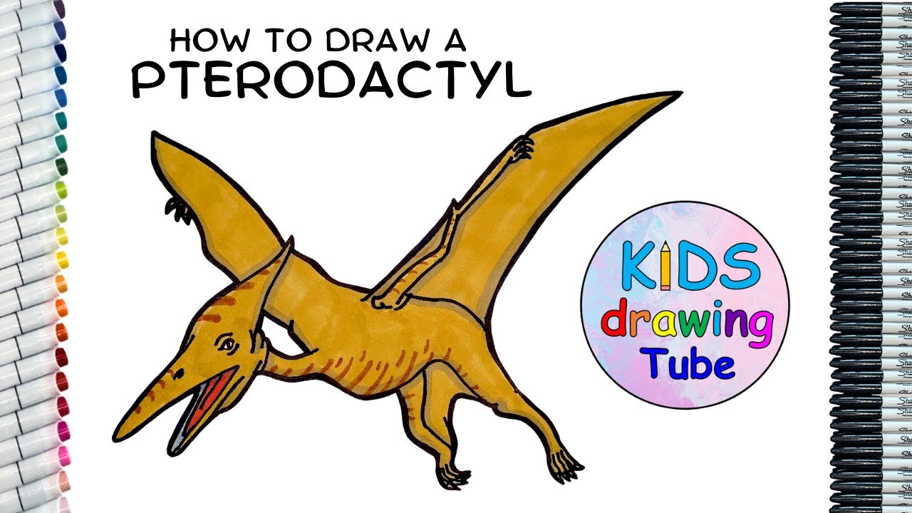 How to draw a Pterodactyl | Dinosaur - YouTube