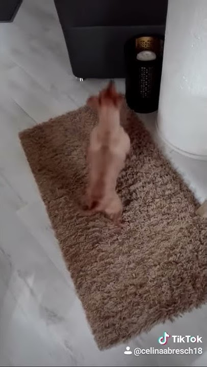 Tik tok's mit meiner süßen Rapunzel - YouTube