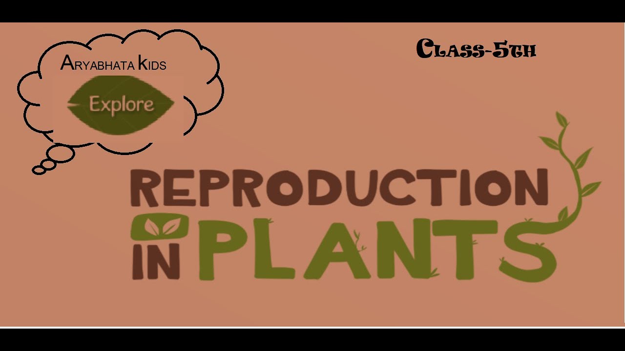 Reproduction in Plants| Class 5th | Part 5|Priyankaverma - YouTube
