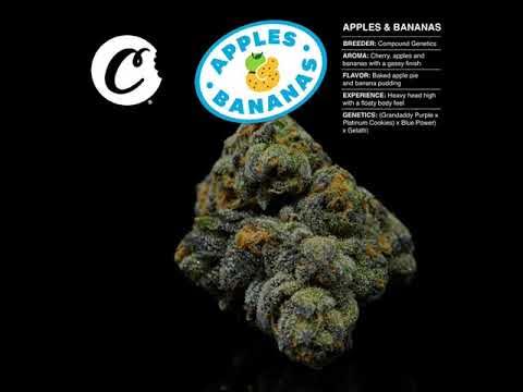 Apples & Bananas Strain Highlight - YouTube