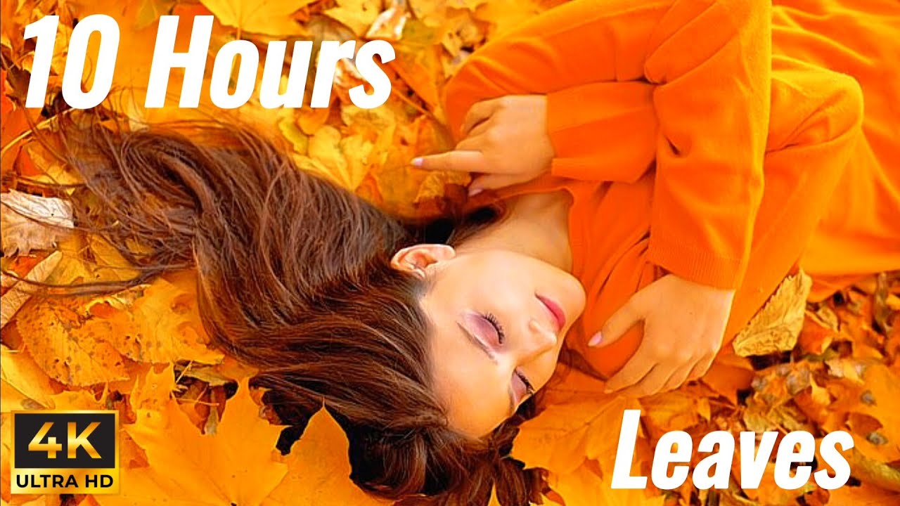 10 Hours Of Enchanting Autumn Fall Leaves Crunching In Nature - Sleep ...