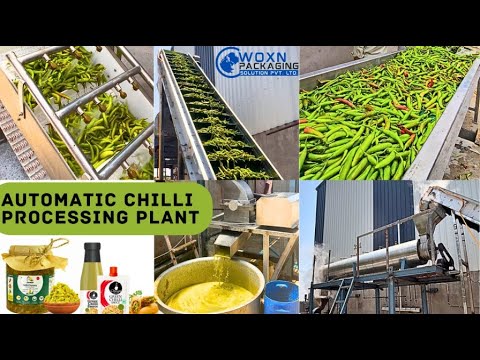 AUTOMATIC CHILLI-MIRCH KETCHUP / SAUCE / PULP / PASTE PROCESSING PLANT ...