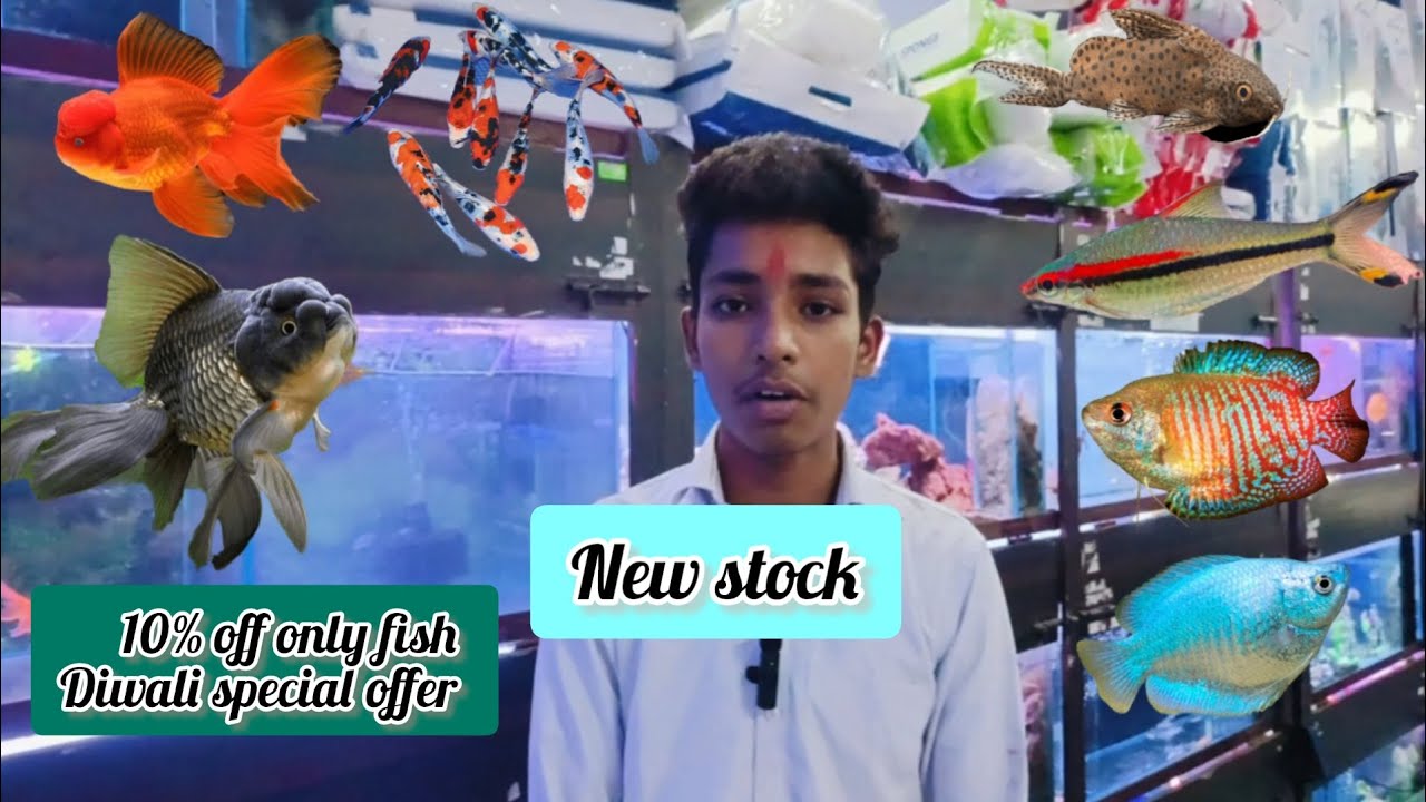 New stock /anmol aquarium home 🐠🐟 - YouTube