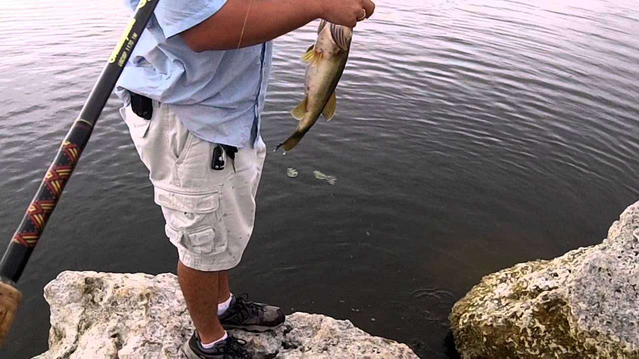 Bass Fishing Tamiami Trail - YouTube