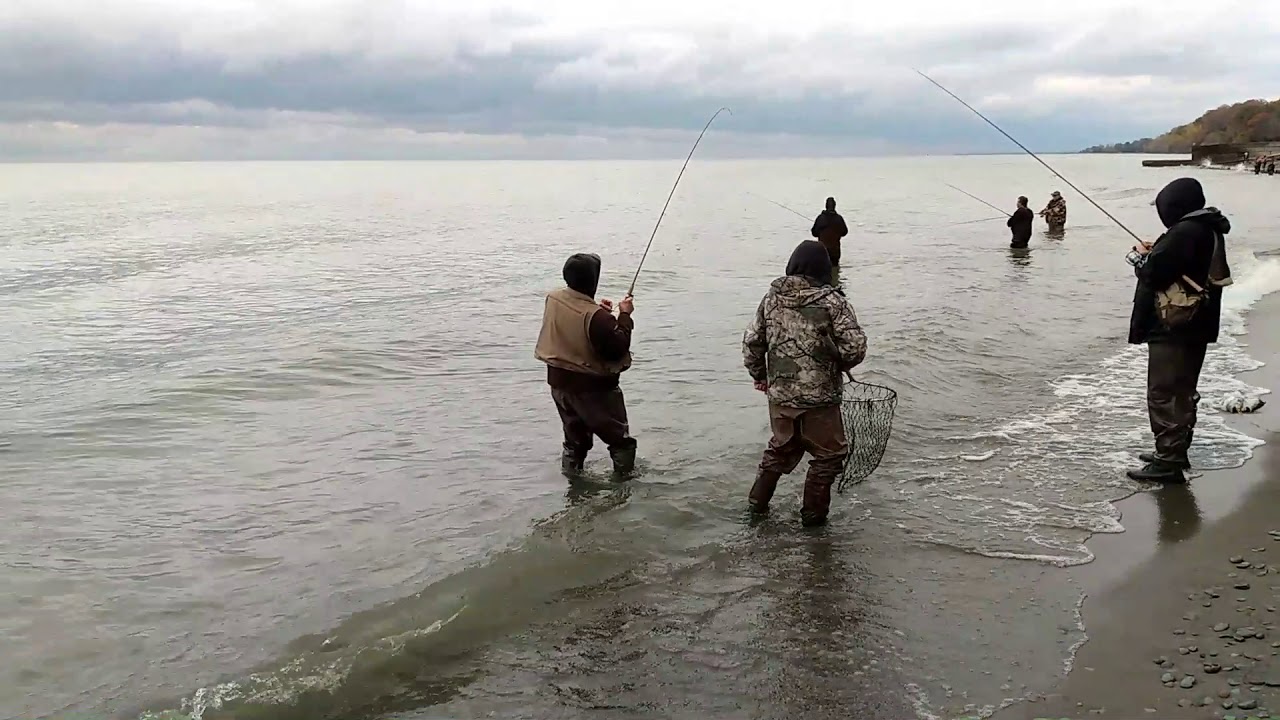 Lakeside Fishing Option - YouTube