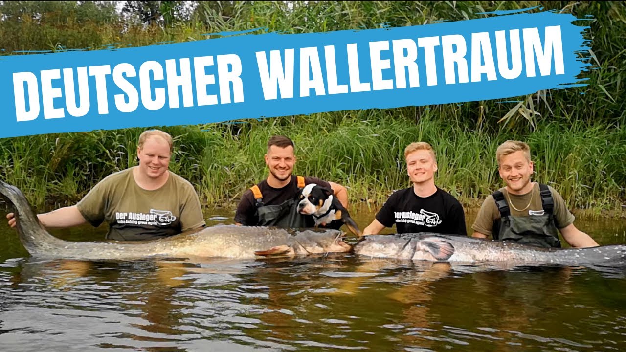 Abenteuer Welsangeln | Waller fangen in Deutschland | DUDIS WORKSHOPS - YouTube