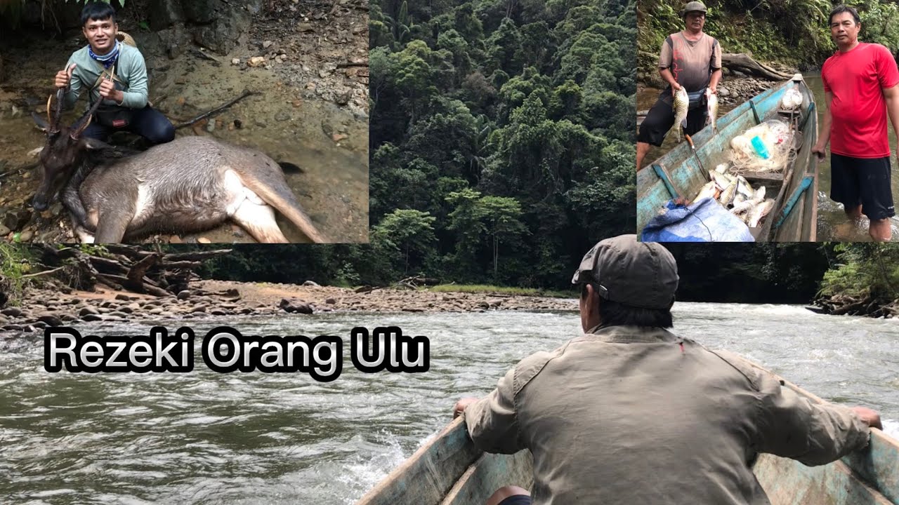 How Dayak Kenyah People In Borneo Make A living (Fishing and Hunting ...