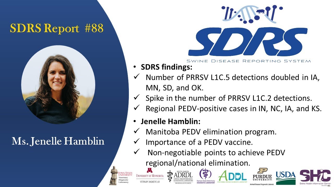 SDRS # 88 - Jenelle Hamblin - Manitoba's PEDV Elimination Plan - YouTube
