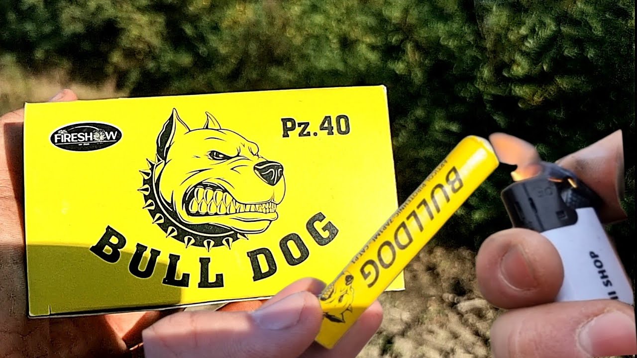 Petarde BULL DOG 0.5g - Fireshow- Test & Review 2025 💣 - YouTube
