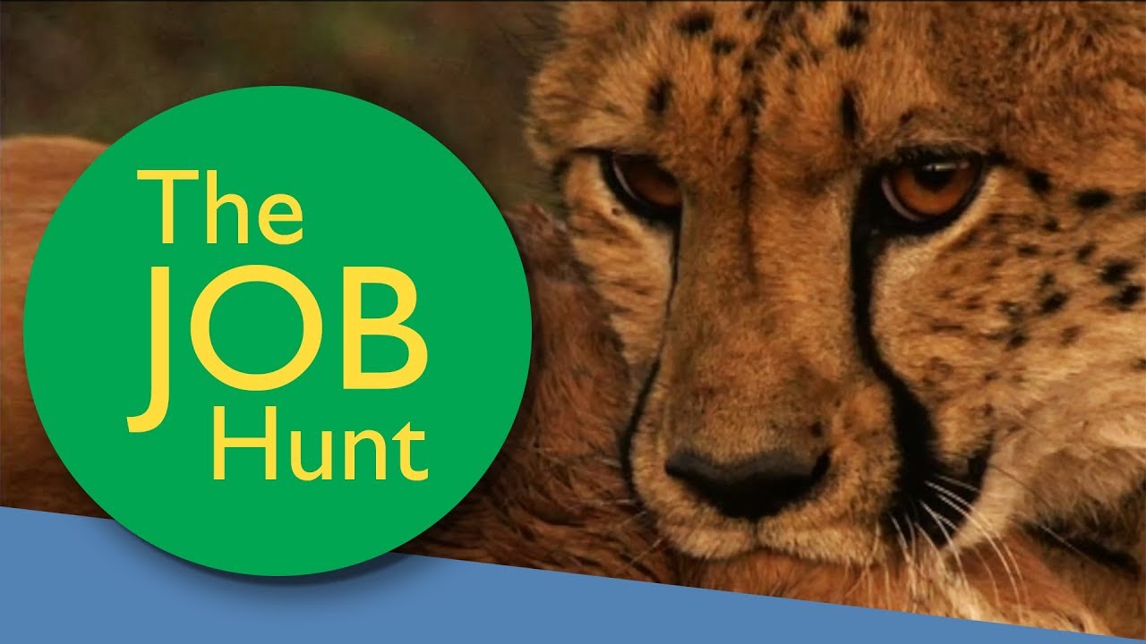 Looking for a job? Look no further | BBC MAKE IT - YouTube