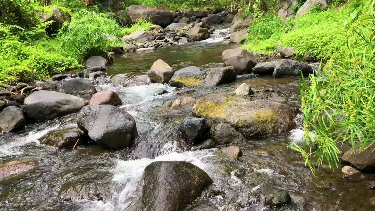 Calming River Water Flow | Peaceful Nature Sounds for Sleep & Stress ...