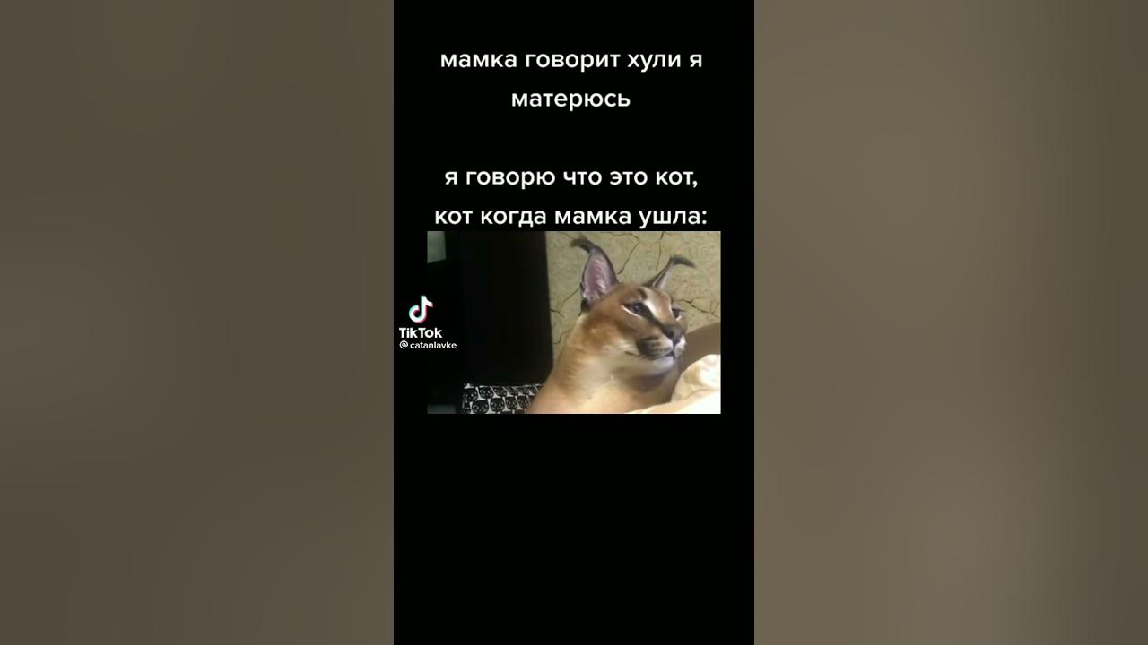 хуи воМ - YouTube