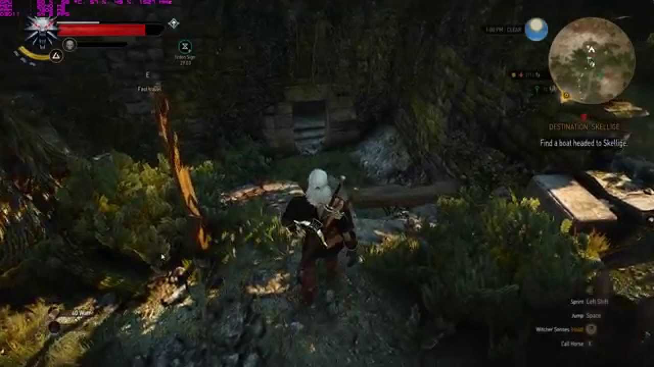 The Witcher 3 - Killing the Vampire Ekimmara - YouTube
