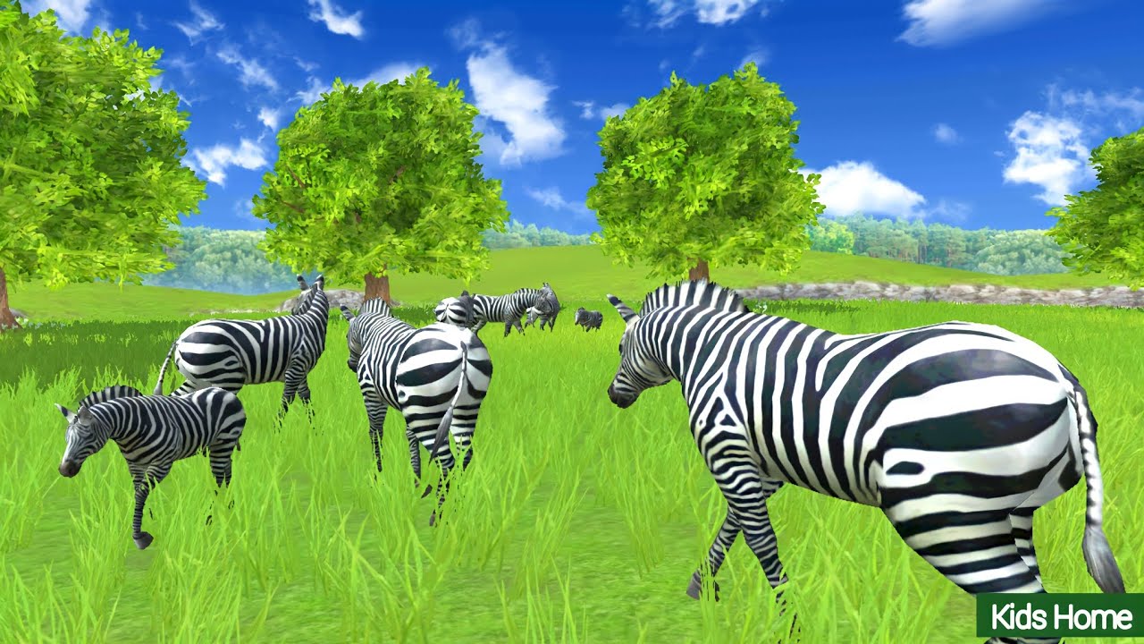 Cartoon Animal For Kids | Discover Animal | Discover Wild Animal | Real Safari Find The Animal ...