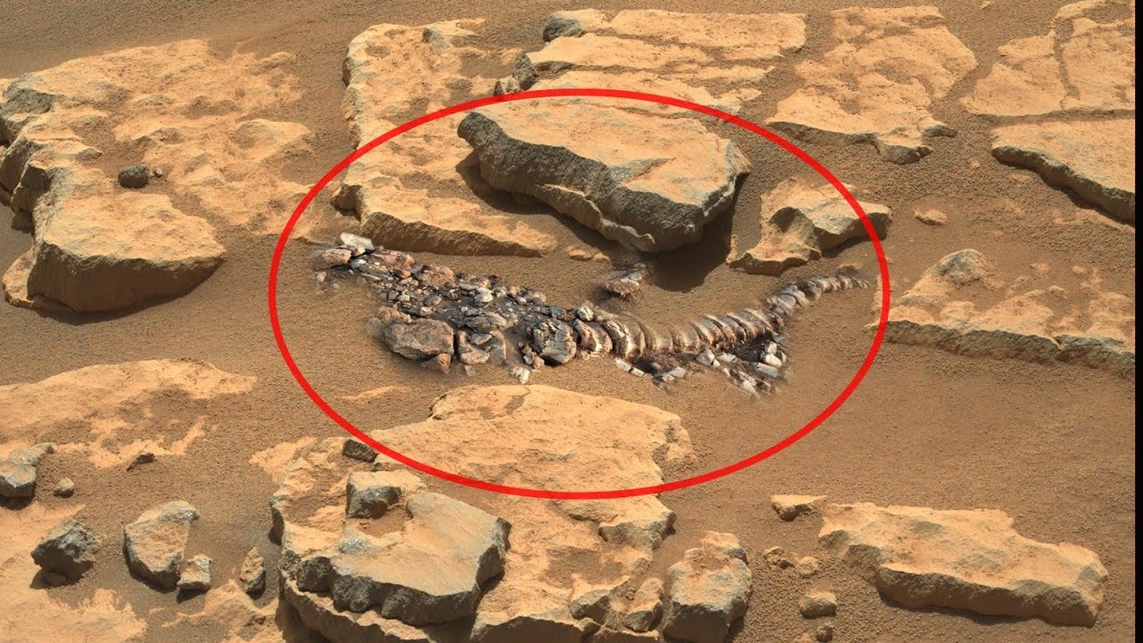 Mars Perseverance Rover Recently Found Fossil on Mars Surface||Latest ...