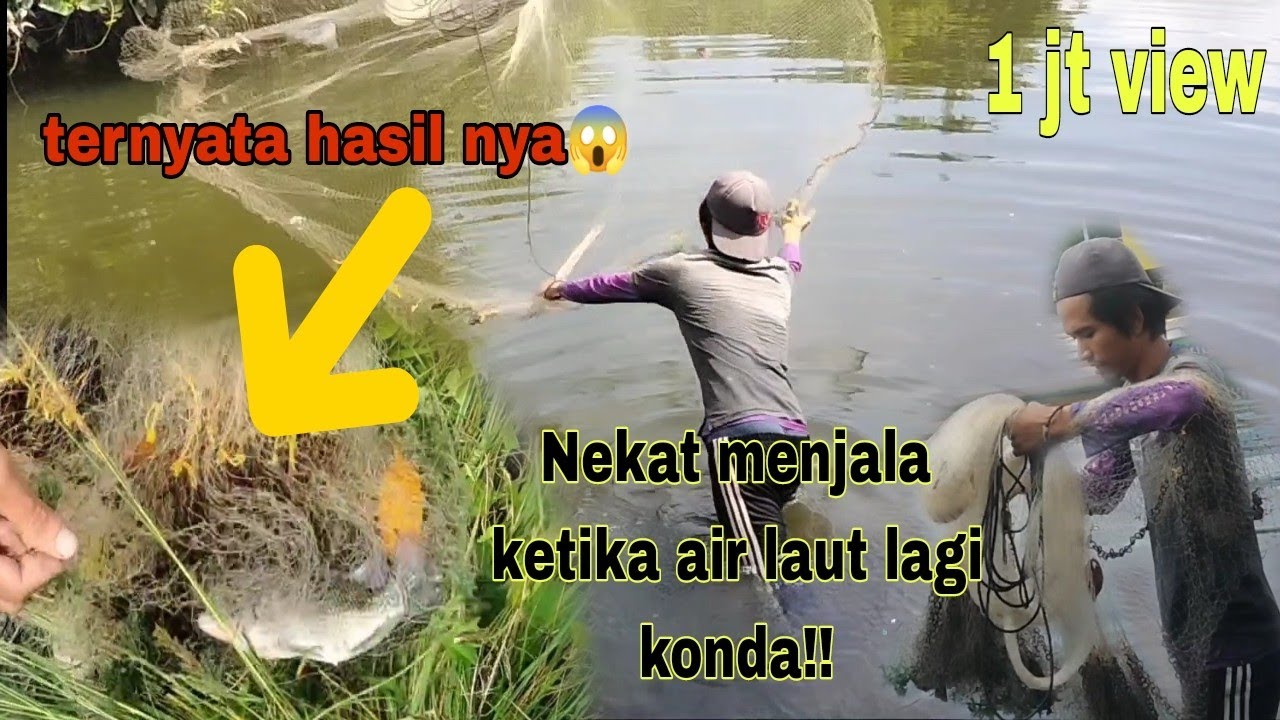 Jala ikan part1# perdana menjala ikan hasilnya lumayan!! _-_(fishing ...