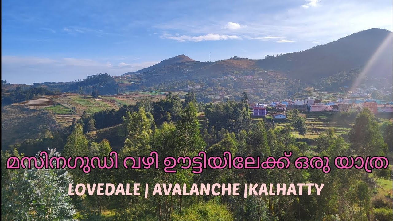 Ooty one day trip - masinagudi - kalhatty ghat - avalanche & emerald ...