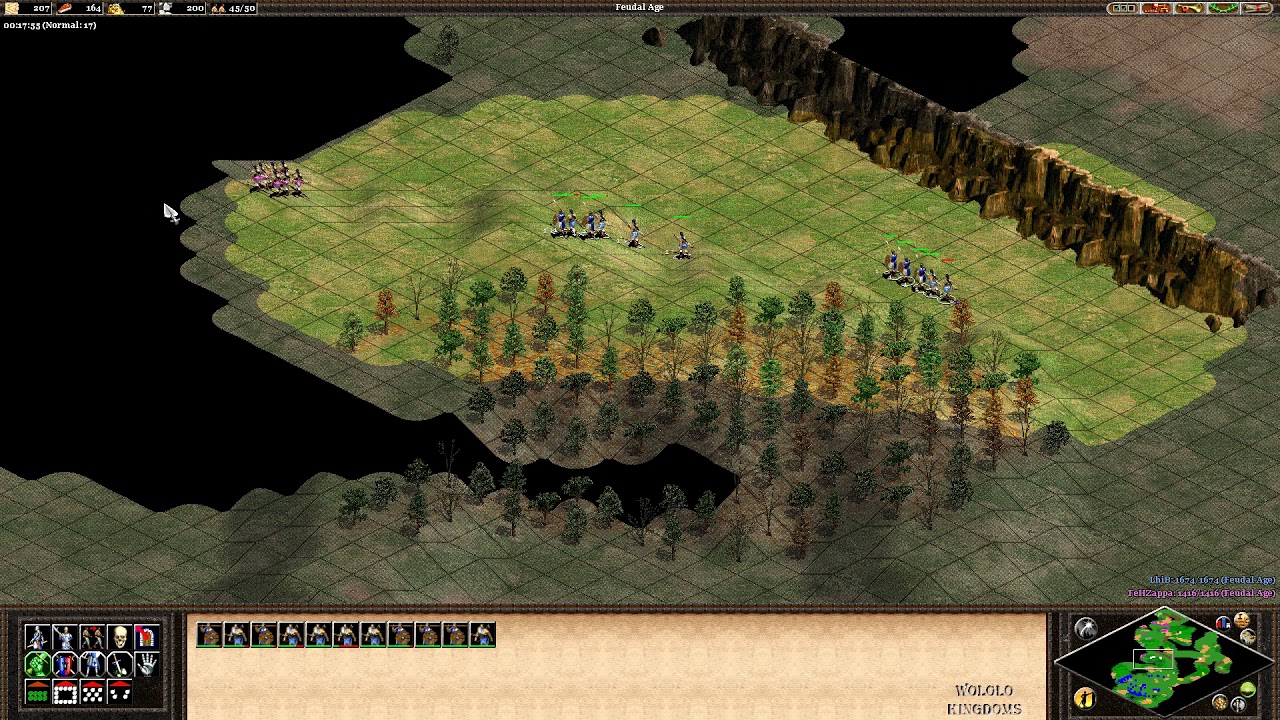 Age of Empires 2 WK-Gothic Huskarls - YouTube