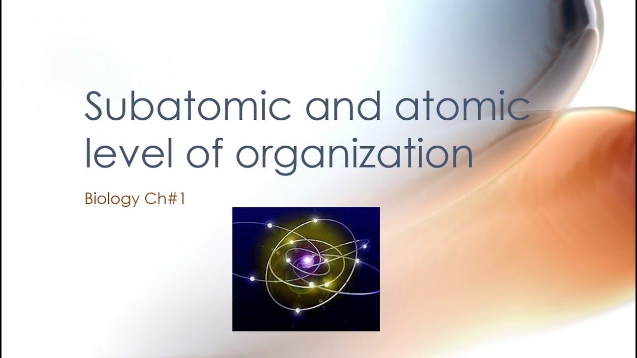 subatomic and atomic level of organization . biology Ch #1 - YouTube