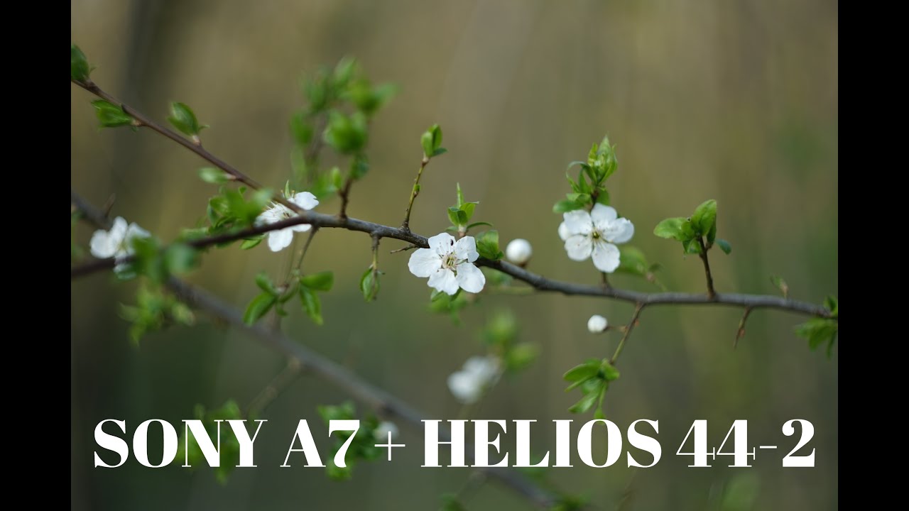SONY A7 + HELIOS 44-2 F2.0 - BOKEH PHOTO SAMPLES - YouTube