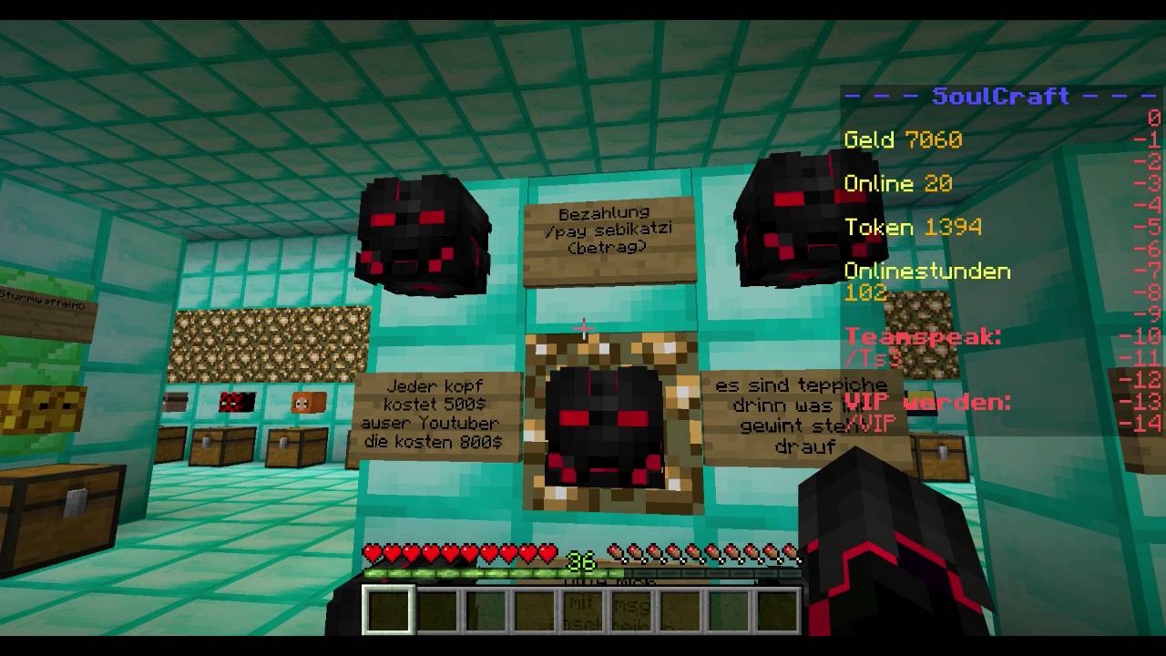 Minecraft mit 3 Themen auf dem soulcraft server - YouTube