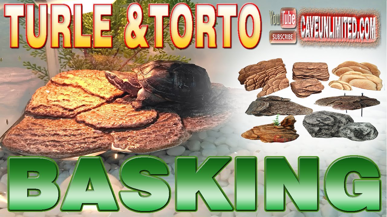 TYPE BASKING SPOT FOR REPTILE TURTLE DAN TORTOISE - YouTube