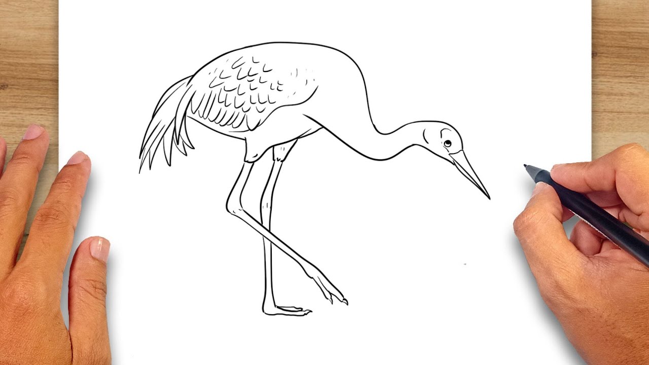 How to draw Crane Bird Easy - YouTube