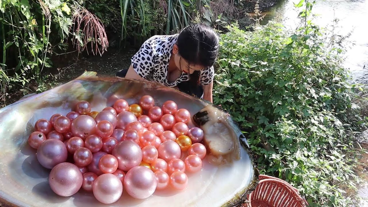 Expensive pearls, open the giant freshwater pearl clam, never seen such ...