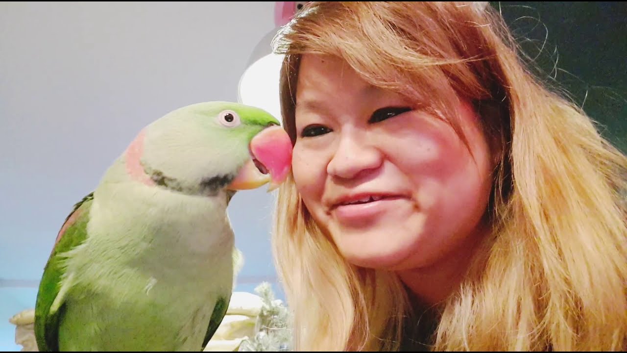 Paco and Tommy get new toys - YouTube