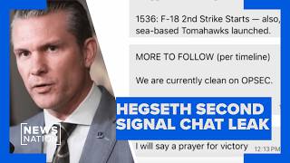 Barking!. SECDEF Hegseth shared Houthi strike intel with wife and ...