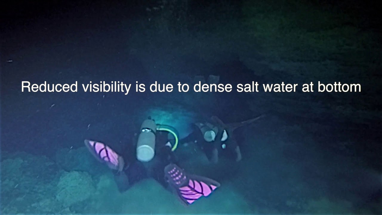 Diving Cenote Tajma-Ha, Mexico 2018 - YouTube