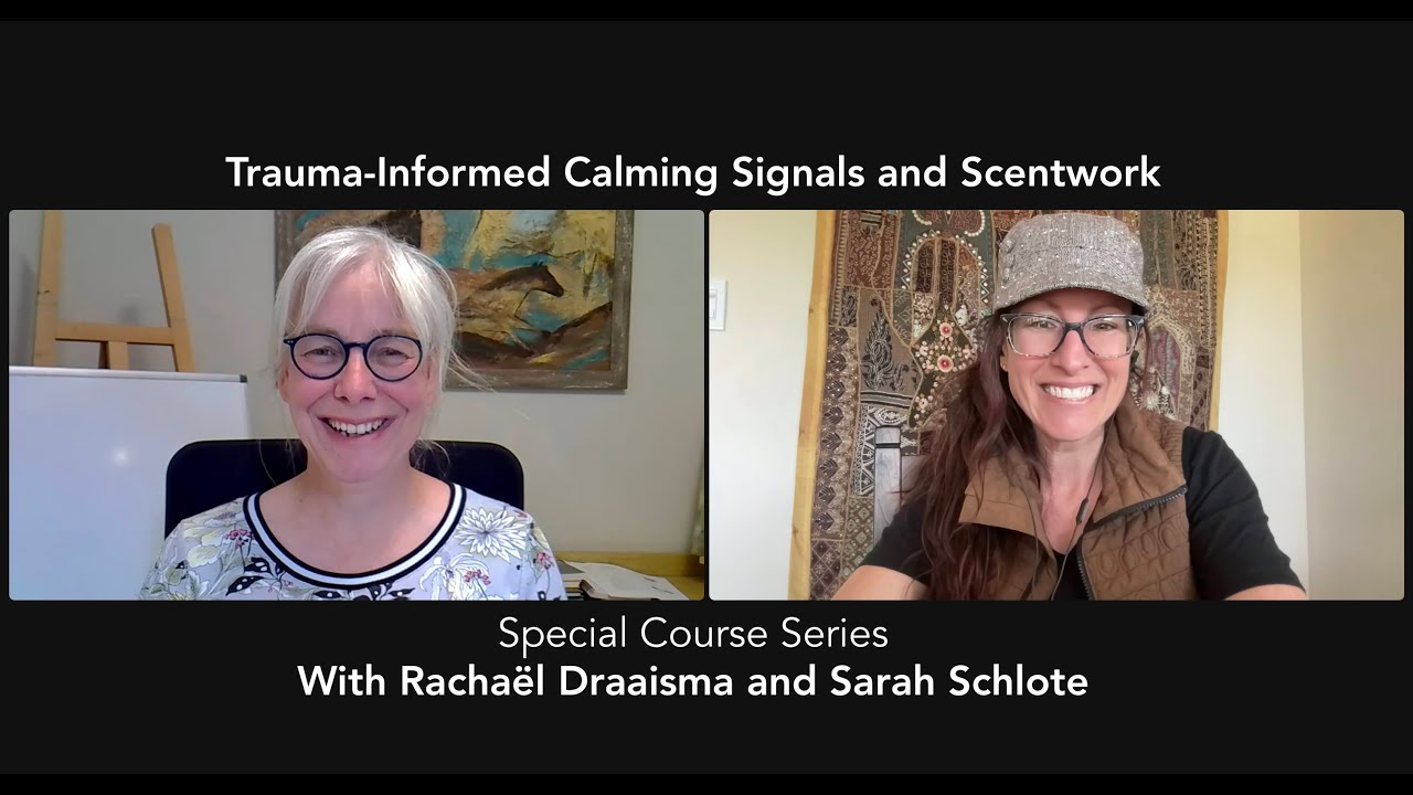 Trauma-Informed Calming Signals and Scentwork for Equines with Rachaël ...