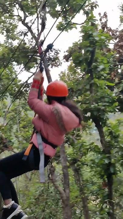 Dehradun zoo zip line adventures activities #dehradun #NehArv - YouTube