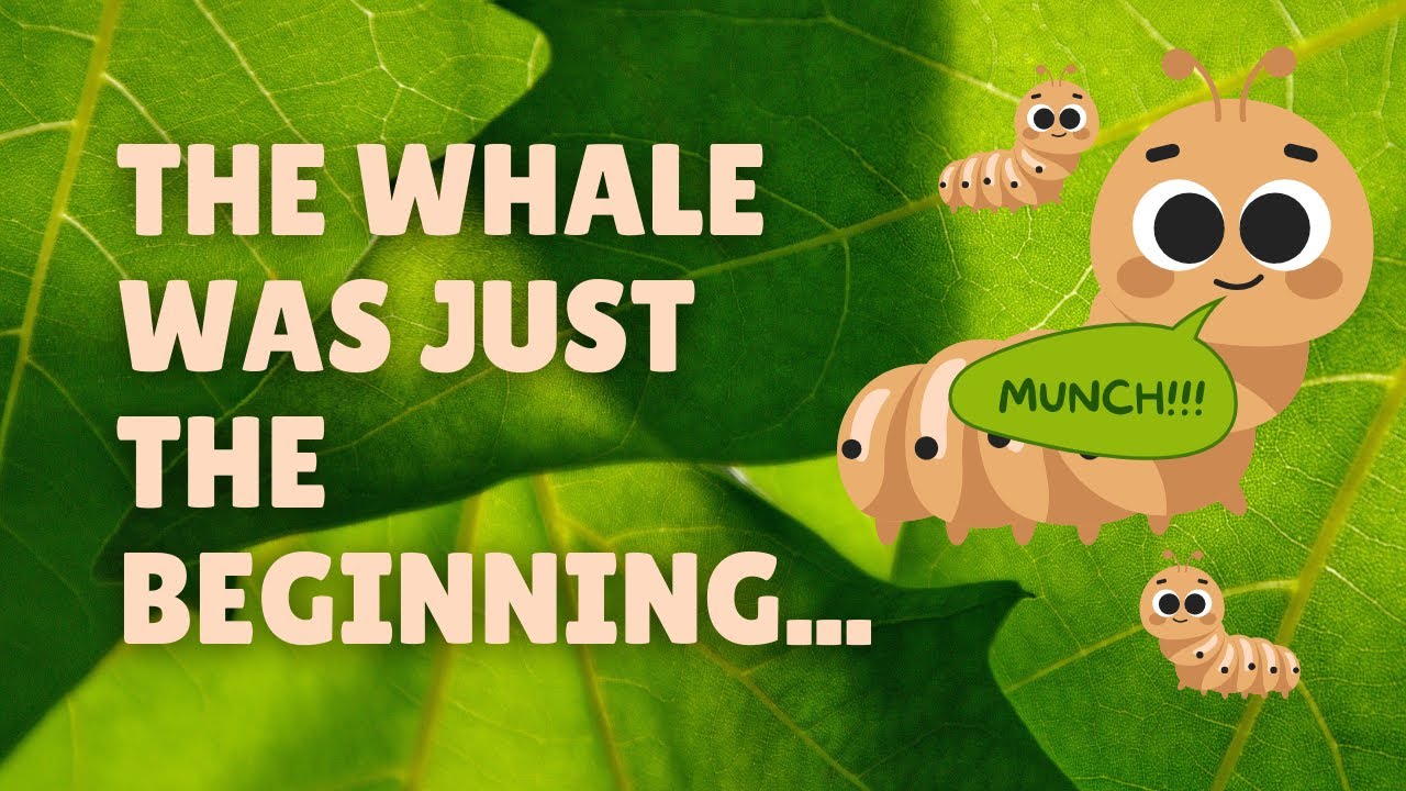 But Jonah Was Angry | Bible Stories and Crafts for Kids (Jonah 4) - YouTube